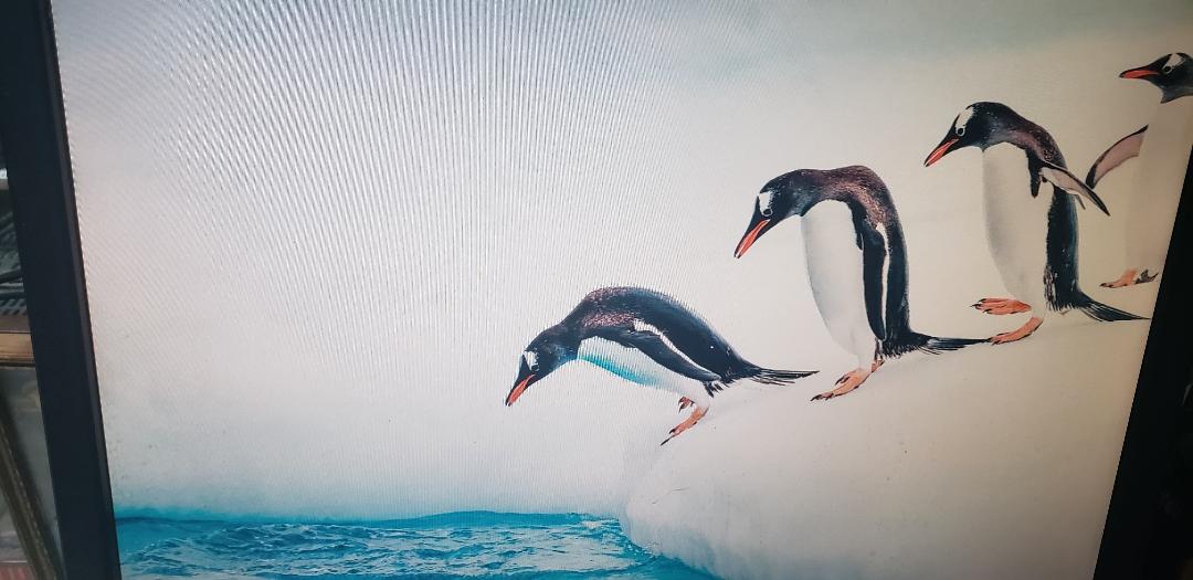 GoodNewsLetter: Earth Day, April 22, 2026 Times Square Plea for ...